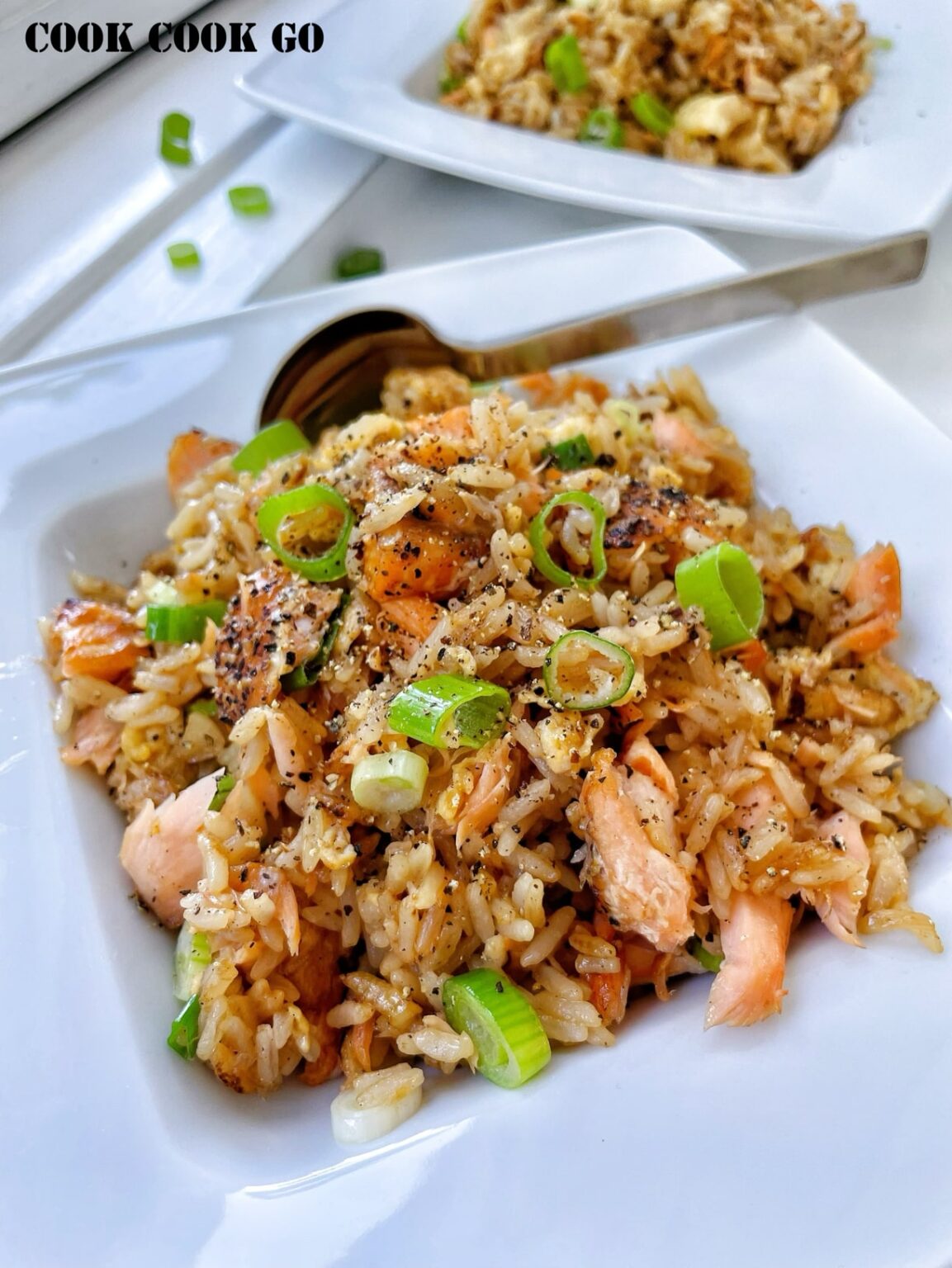 Super Easy Salmon Fried Rice - COOK COOK GO
