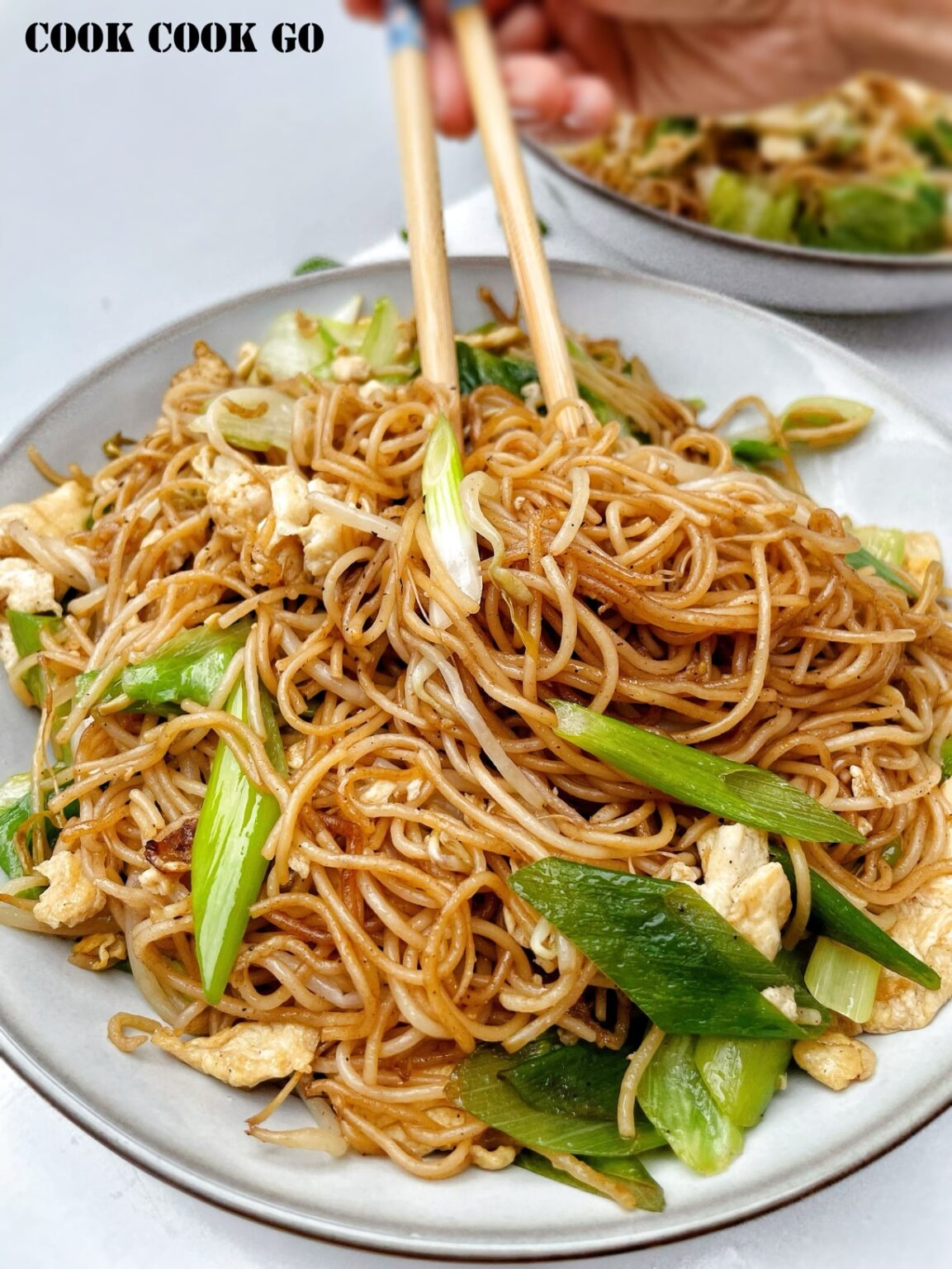 Easy Fried Rice Noodles with Eggs 鸡蛋炒米粉 - COOK COOK GO